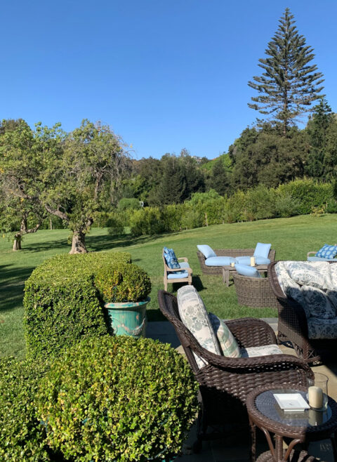 Pacific Palisades Landscape Designer over 30 Years of Local Experience